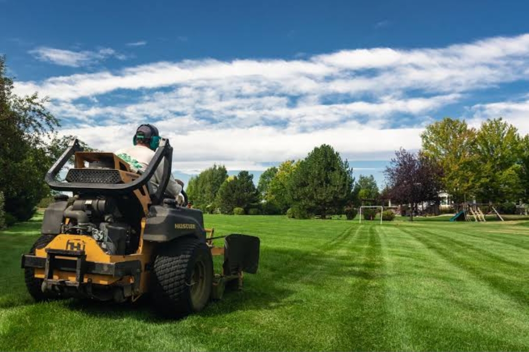 The Importance of Regular Residential Lawn Maintenance for Homeowners ...